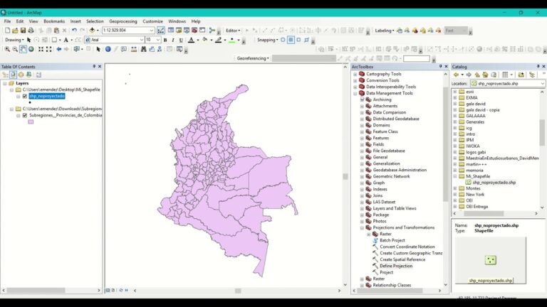 Archivos SHP en ArcGIS: Solución a problemas de proyección