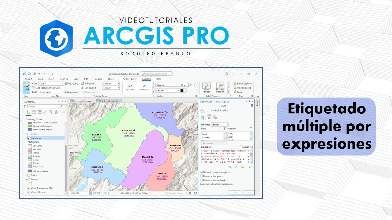 Selecciona fácilmente capas en ArcGIS usando VBA - Descubre cómo