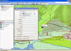 Descubre el poder del formato vectorial en ArcGIS y su funcionamiento